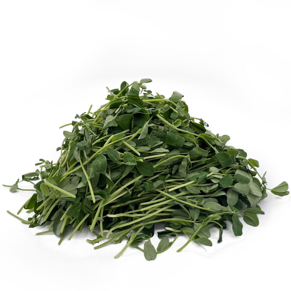 Pea Shoot Microgreens - Blooming Palate