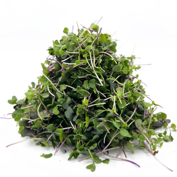 Salad Mix Microgreens - Blooming PalateBlooming Palate Grand Junction, CO